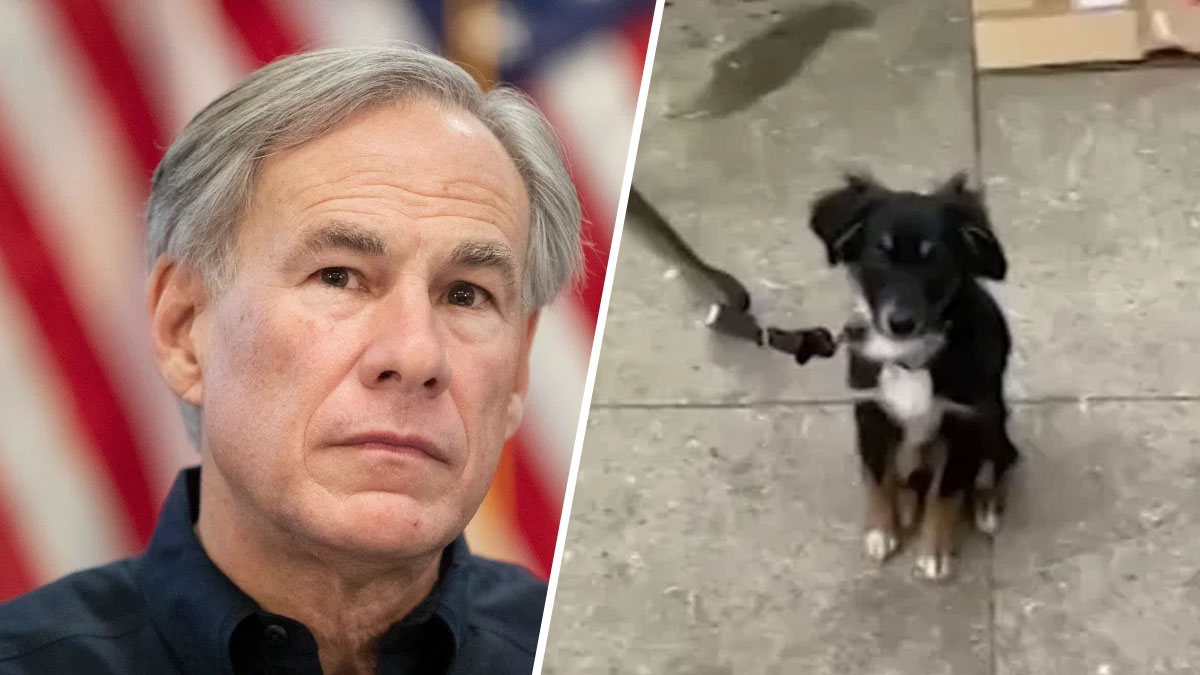 La razón por la cual dicen que Greg Abbott odia a los perros ...