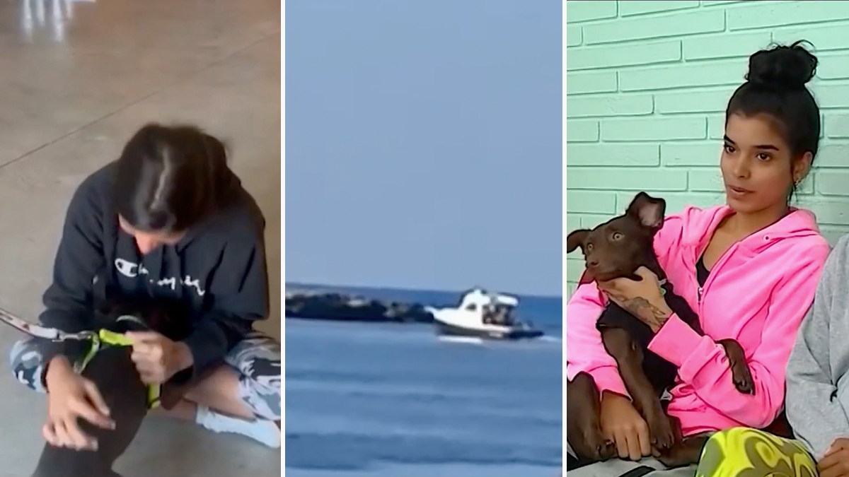 Hermanas que llegaron a EEUU en balsa se reúnen con el perro que ...