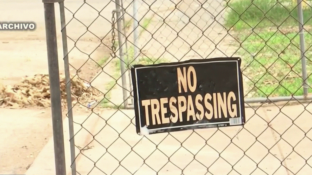 Evalúan medidas estrictas para dueños de perros agresivos y más ...