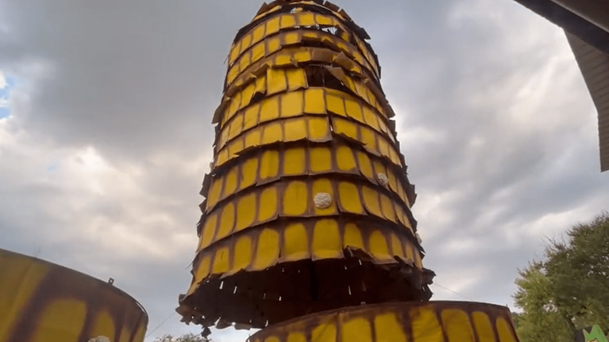 Piñata en forma de elote establece un récord Guiness – Telemundo San ...