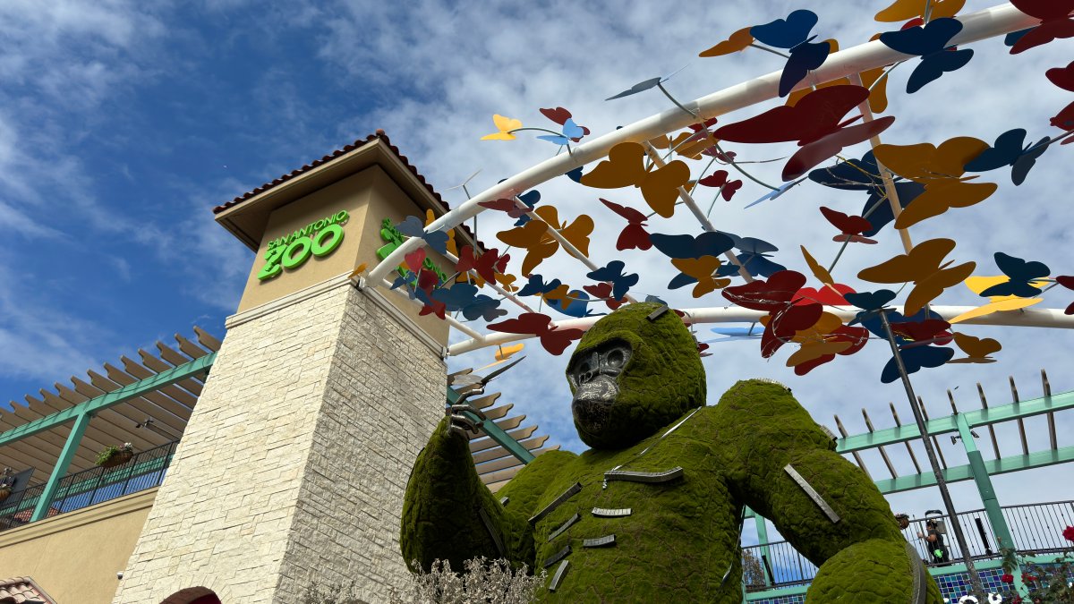 Recibe nombramiento: Zoológico de San Antonio elegido como el mejor de ...