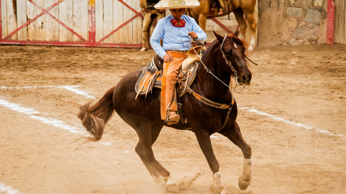 Qué saber sobre el San Antonio Stock Show & Rodeo 2025 – Telemundo San ...