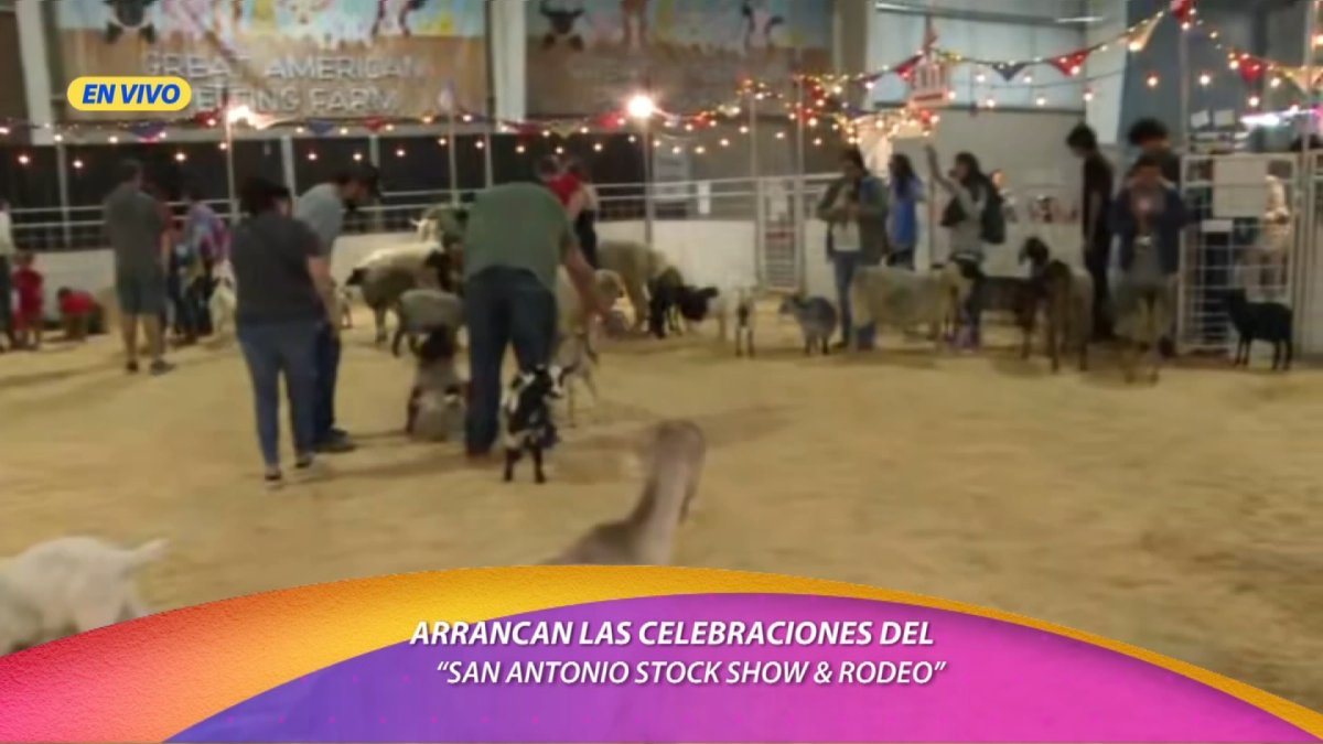Arrancan las celebraciones del “San Antonio Stock Show & Rodeo ...